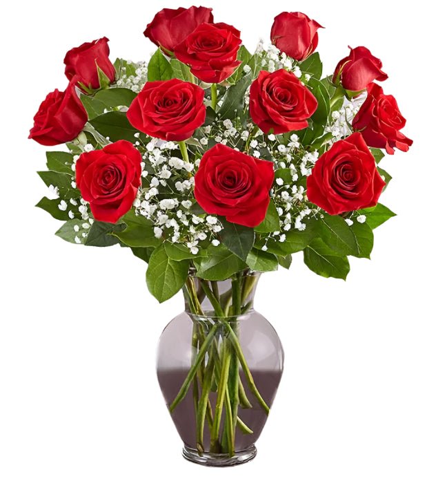 Dozen Premium Red Roses Arranged with Filler | Kremp Florist
