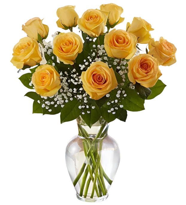Dozen Premium Yellow Roses Arranged with Filler | Kremp Florist