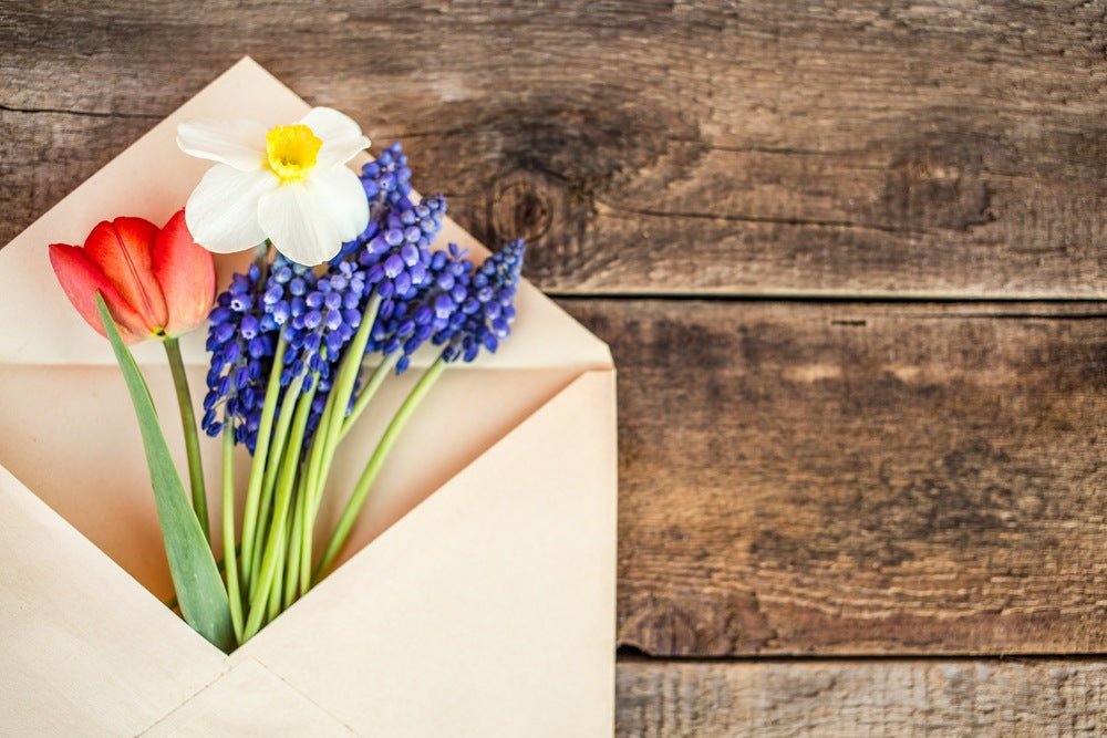 March Seasonal Flowers: What’s Blooming This Month | Kremp Florist