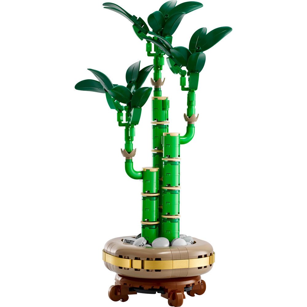 Lego Lucky Bamboo Plant | Kremp Florist