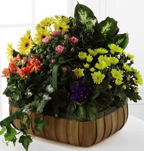 Gentle Blossoms Basket – Kremp Florist