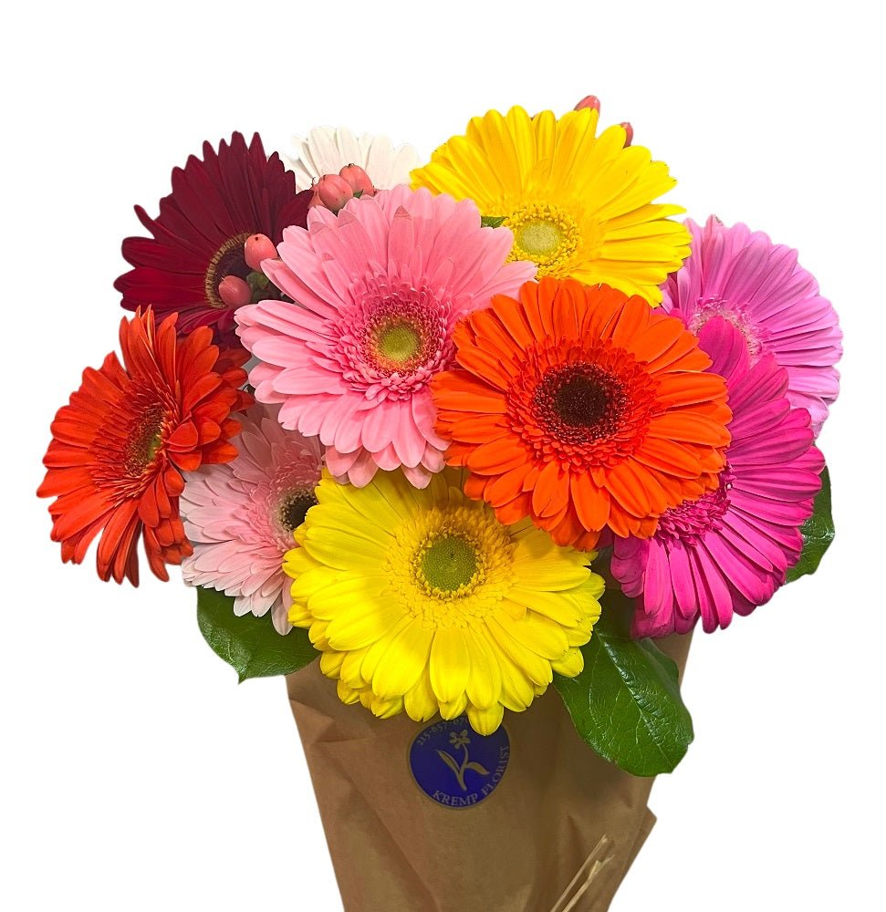 Gerbera Daisies – Kremp Florist