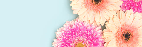 Flower Shops in Keene, NH | Florists Keene, NH | Kremp Florist