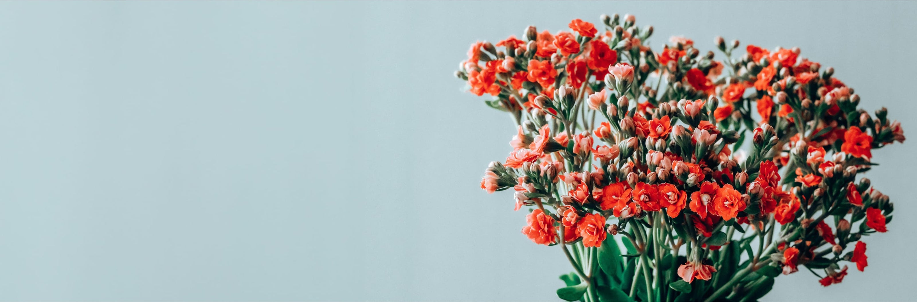 Purple Paradise Bouquet – Kremp Florist