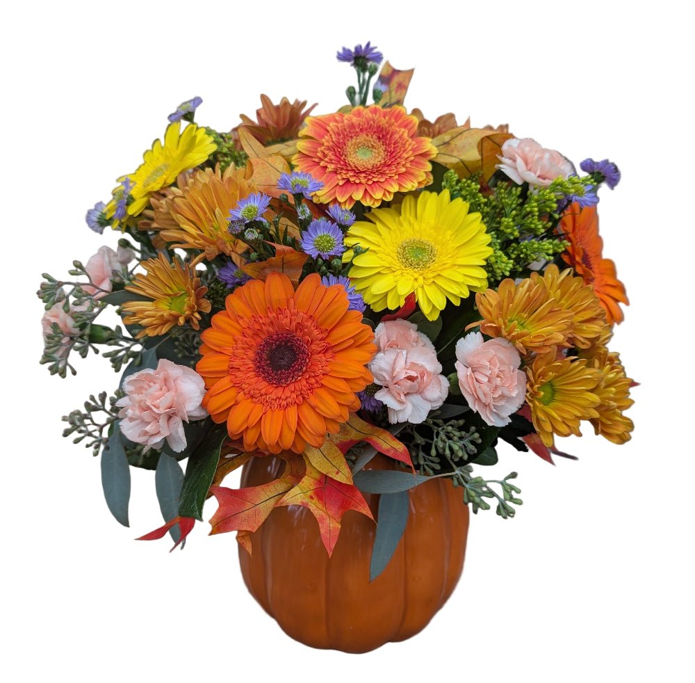 Mixed Autumn Daisy Bouquet | Kremp Florist