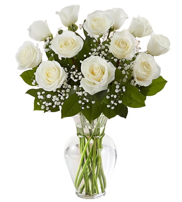 Dozen Premium White Roses Arranged with Filler | Kremp Florist