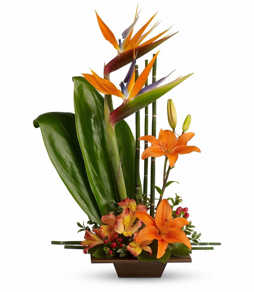 Exotic Grace Bouquet | Kremp Florist