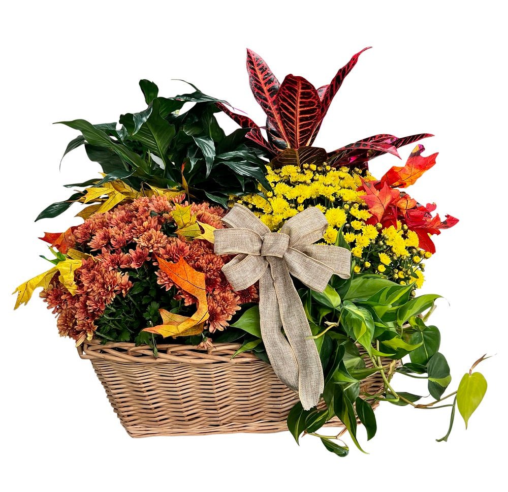 Fall Flowering Planter – Kremp Florist