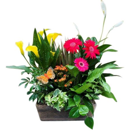 French Garden Planter – Kremp Florist