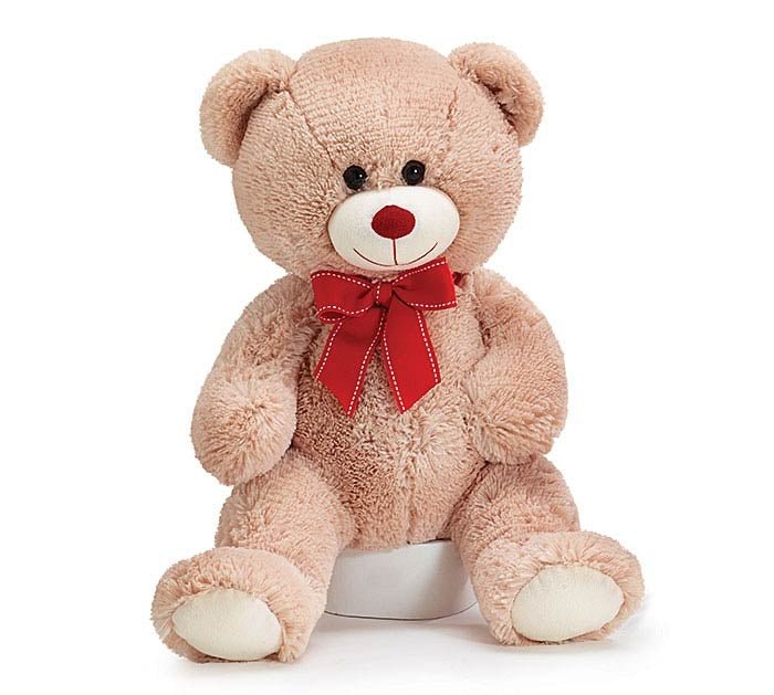 Furever Loved Bear – Kremp Florist