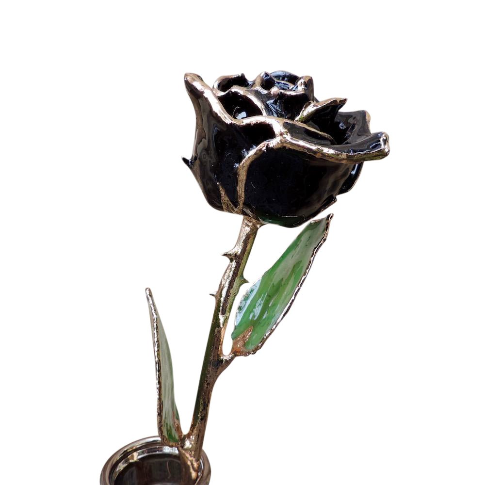 Gold Dipped Black Rose – Kremp Florist