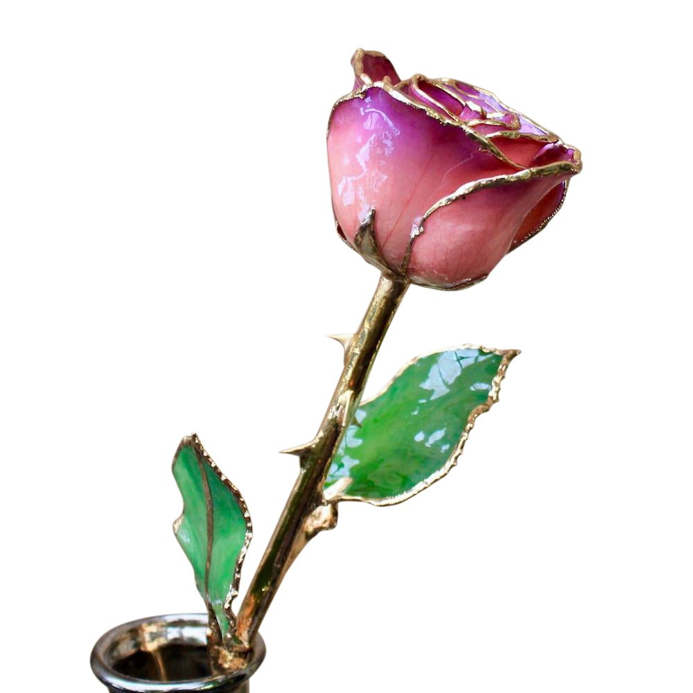 Gold Dipped Pink Amethyst Rose – Kremp Florist