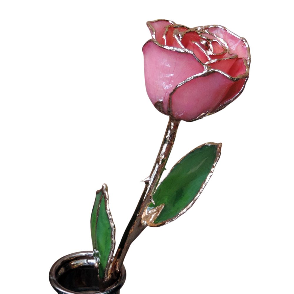 Gold Tipped Pink Rose – Kremp Florist