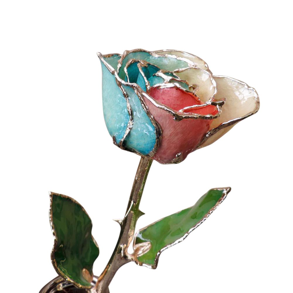 Gold Dipped Tri-Color Rose – Kremp Florist
