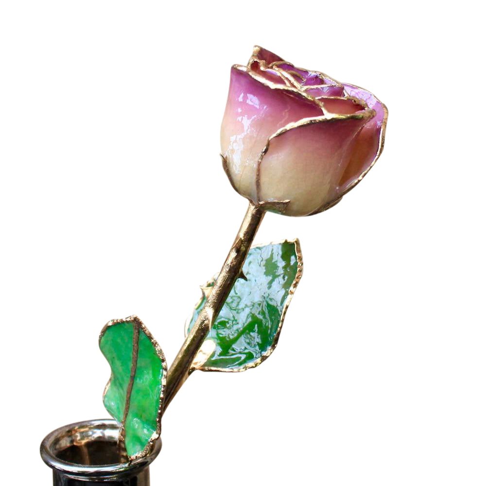 Gold Dipped White Amethyst Rose – Kremp Florist