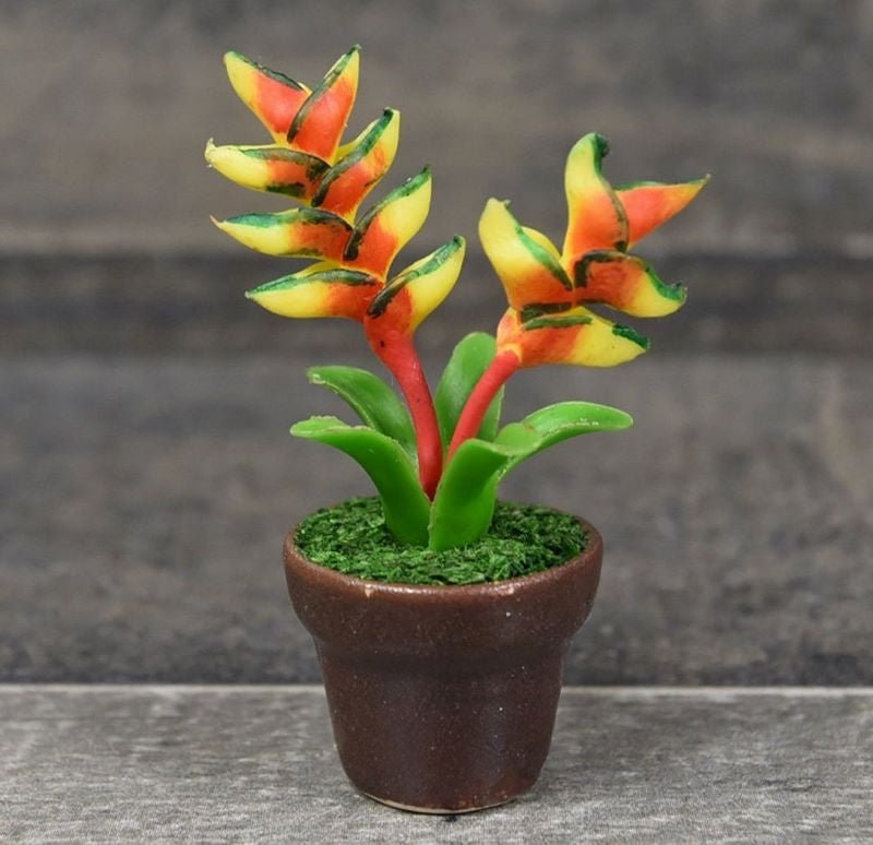 Handmade Mini Heliconia in Pot – Kremp Florist