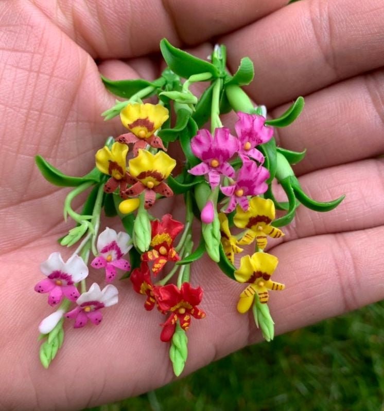 Handmade Mini Oncidium Orchid in Pot – Kremp Florist