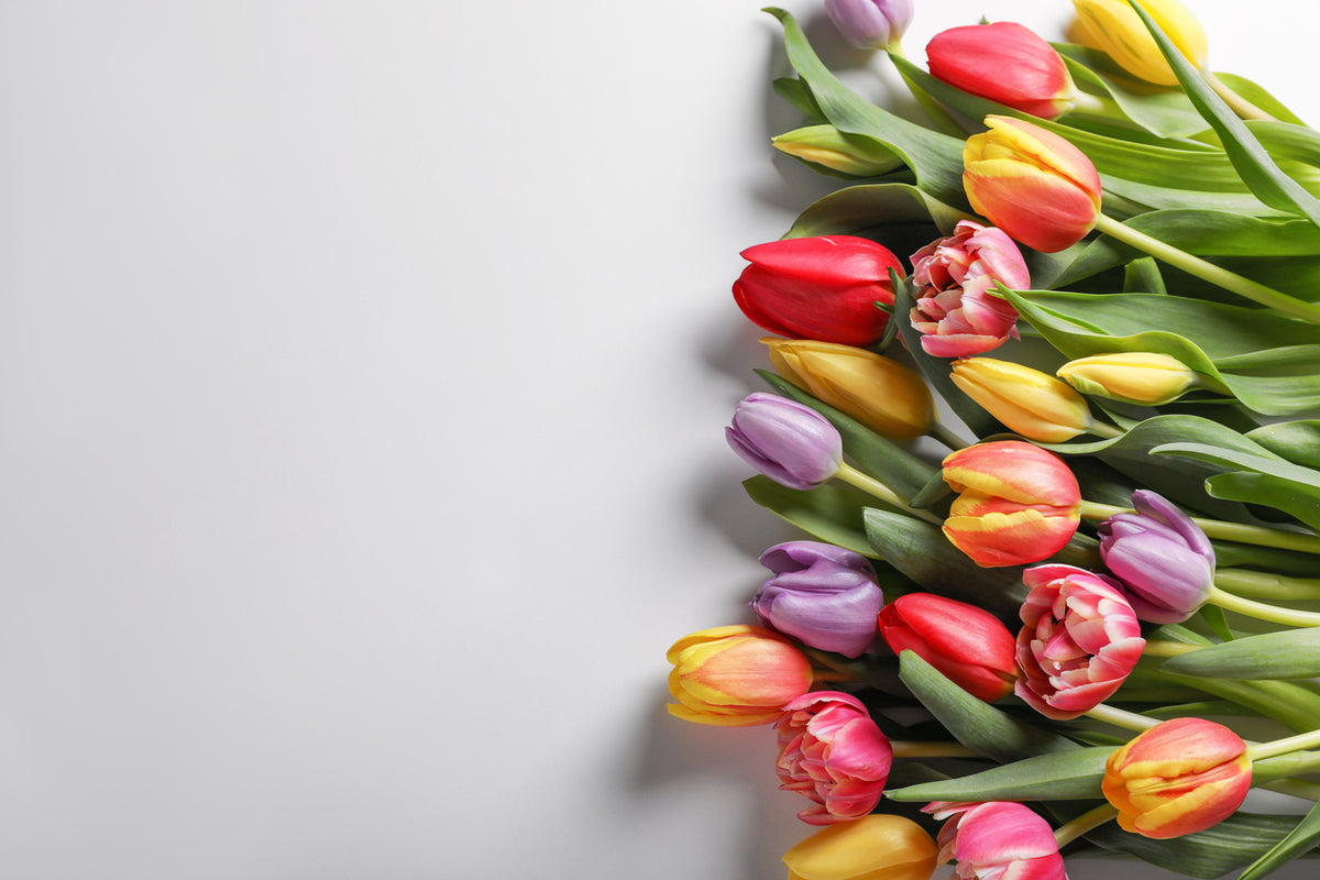 Flower Delivery: Send Flowers Online Nationwide - Kremp Florist