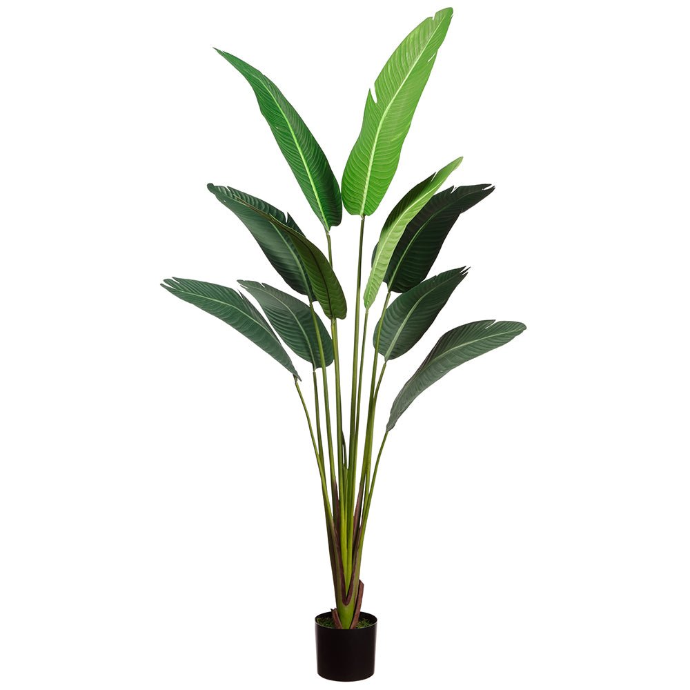 78" Artificial Bird of Paradise Plant | Kremp Florist