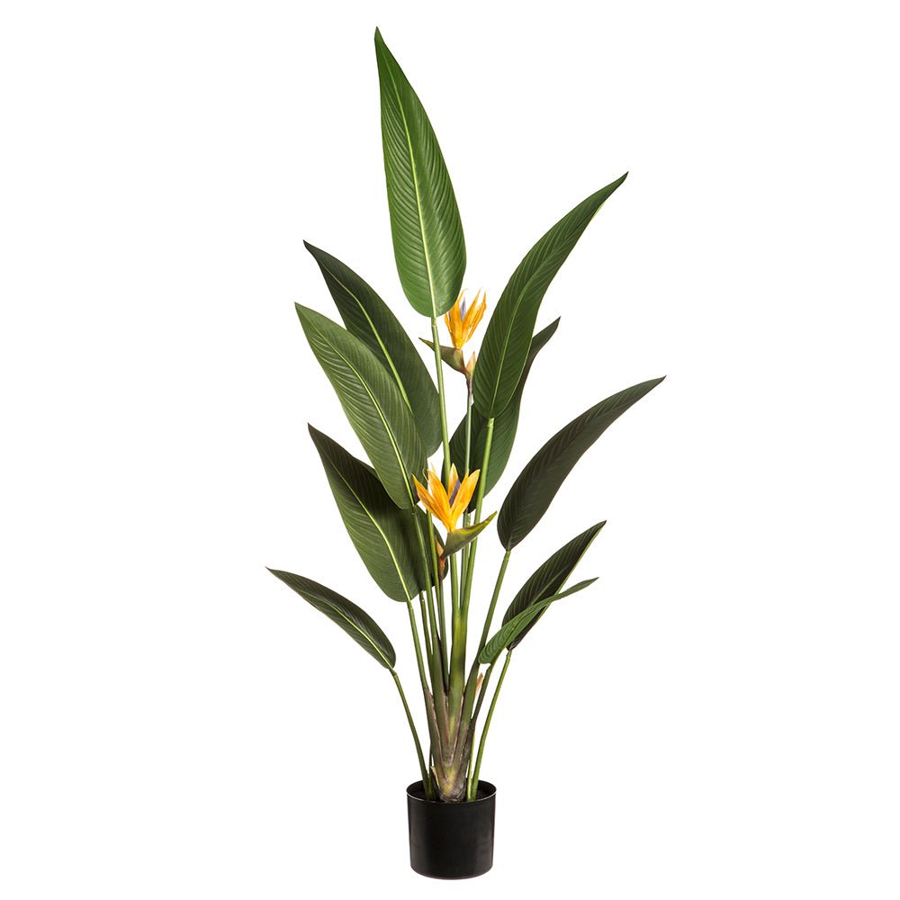 5' Artificial Bird of Paradise Plant | Kremp Florist