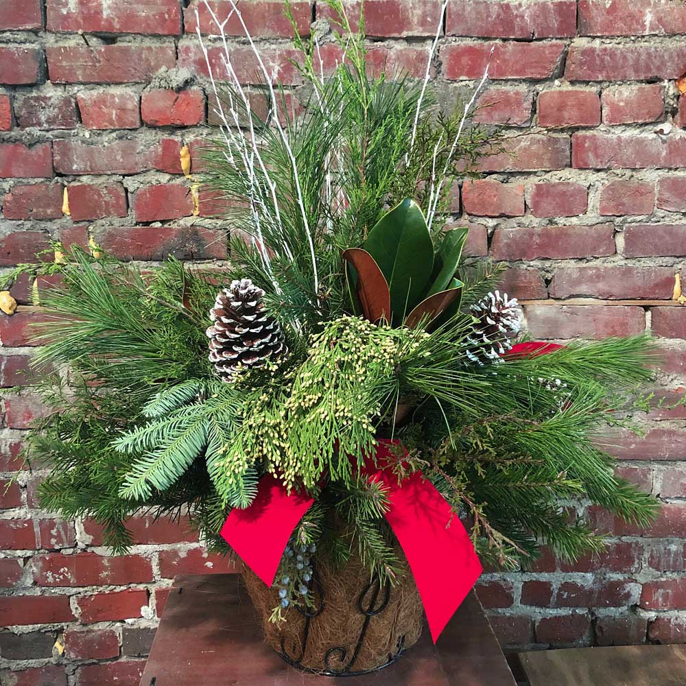 Winter Holiday Patio Pot – Kremp Florist