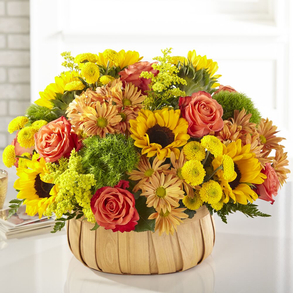 Harvest Sunflower | Kremp Florist