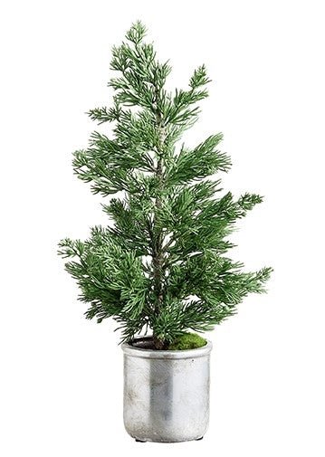 Silk Tabletop Juniper Tree in Pot – Kremp Florist