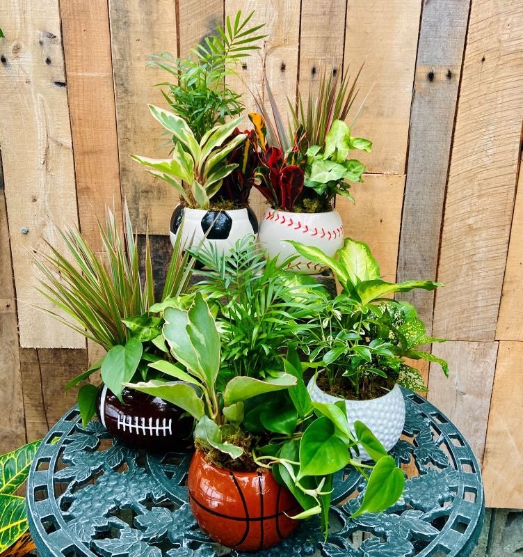 Sports Planter – Kremp Florist